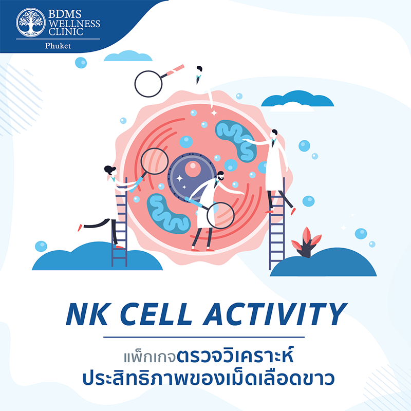 NK Cell Activity | Bangkok Hospital Phuket – International Hospitals in ...